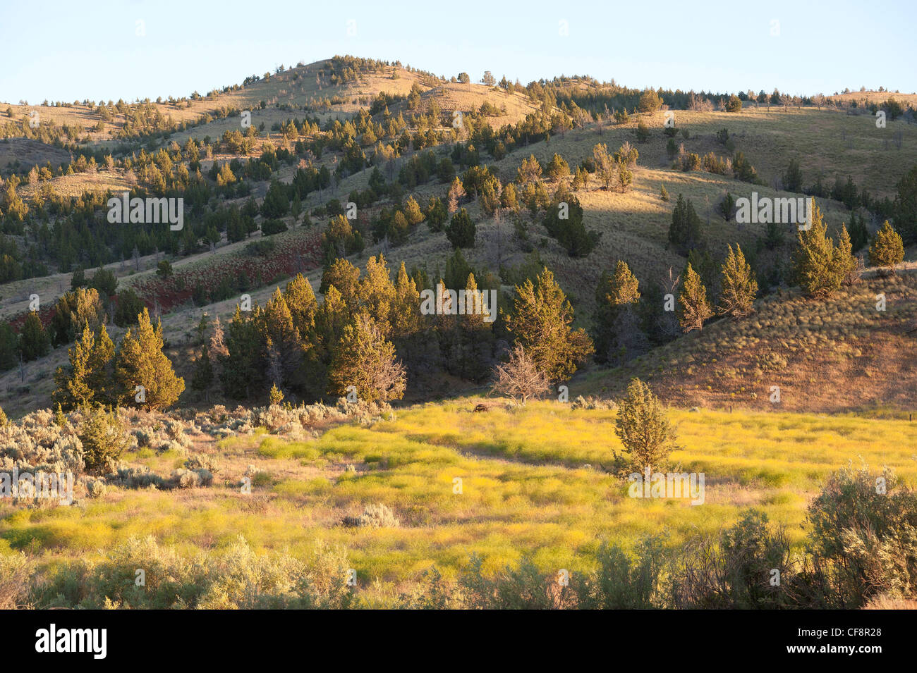 Painted Hills, John Day, Fossil Beds, National Monument, Mitchell ...