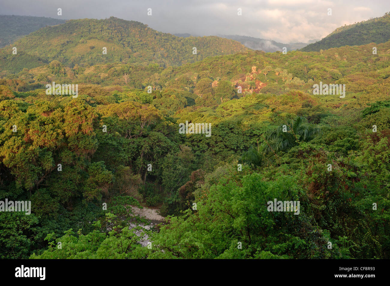 Bahoruco dominican hi-res stock photography and images - Alamy