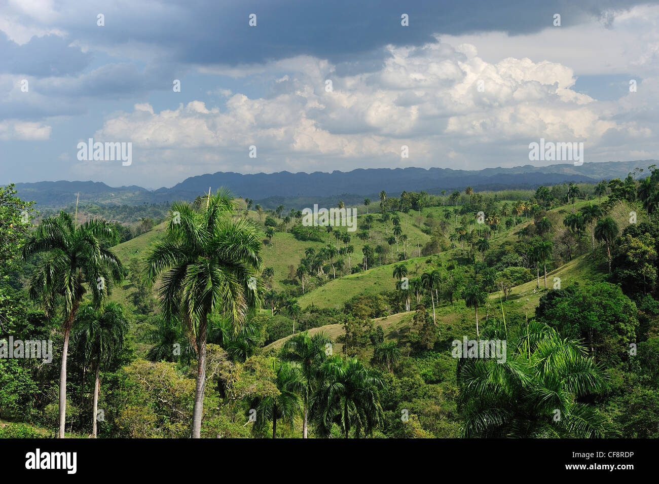 Hills, Puerto Plata, Dominican Republic, Caribbean, landscape Stock ...