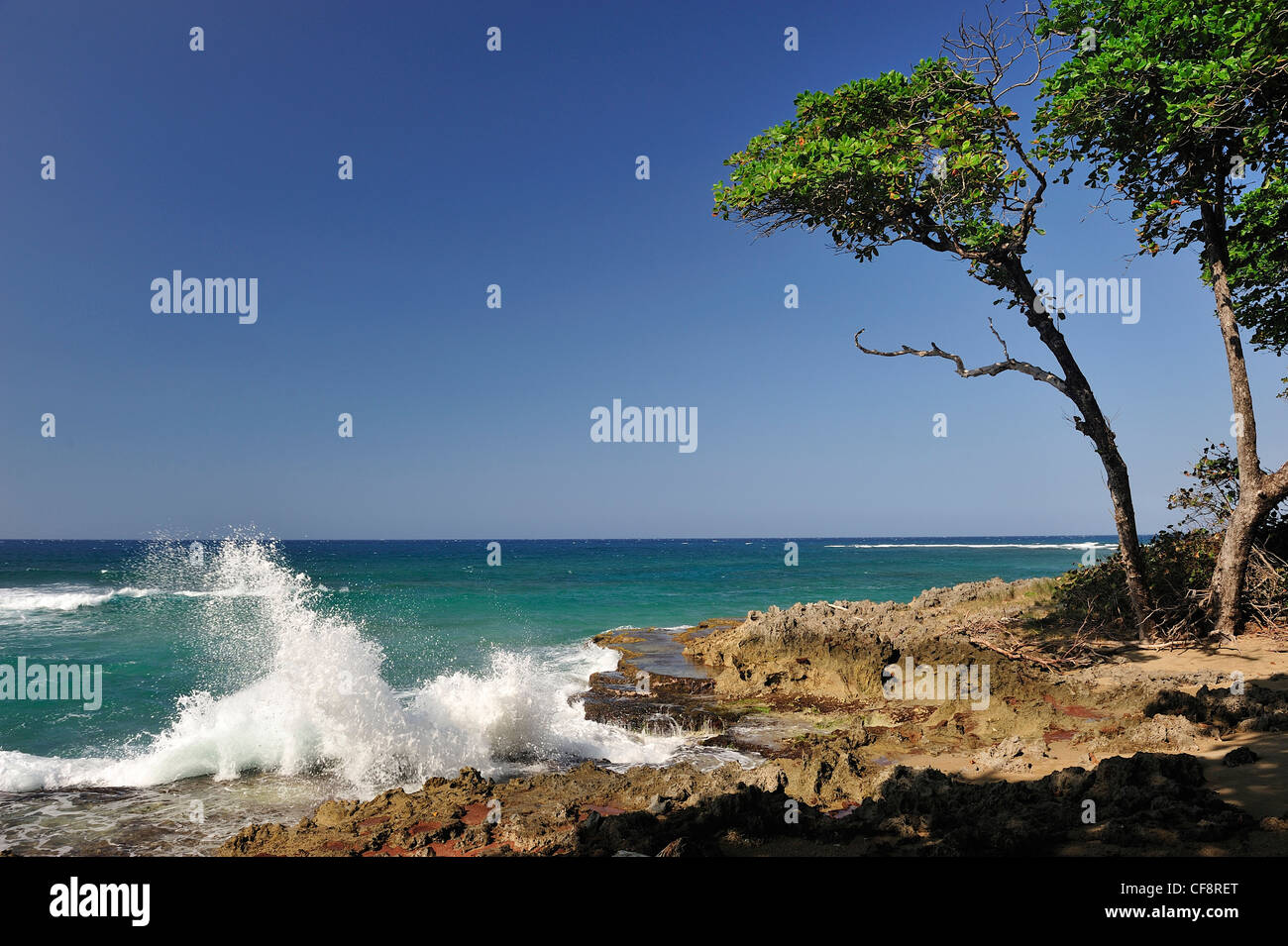 Beach, surf, Cabarete, Dominican Republic, Caribbean, sea, waves, coast ...