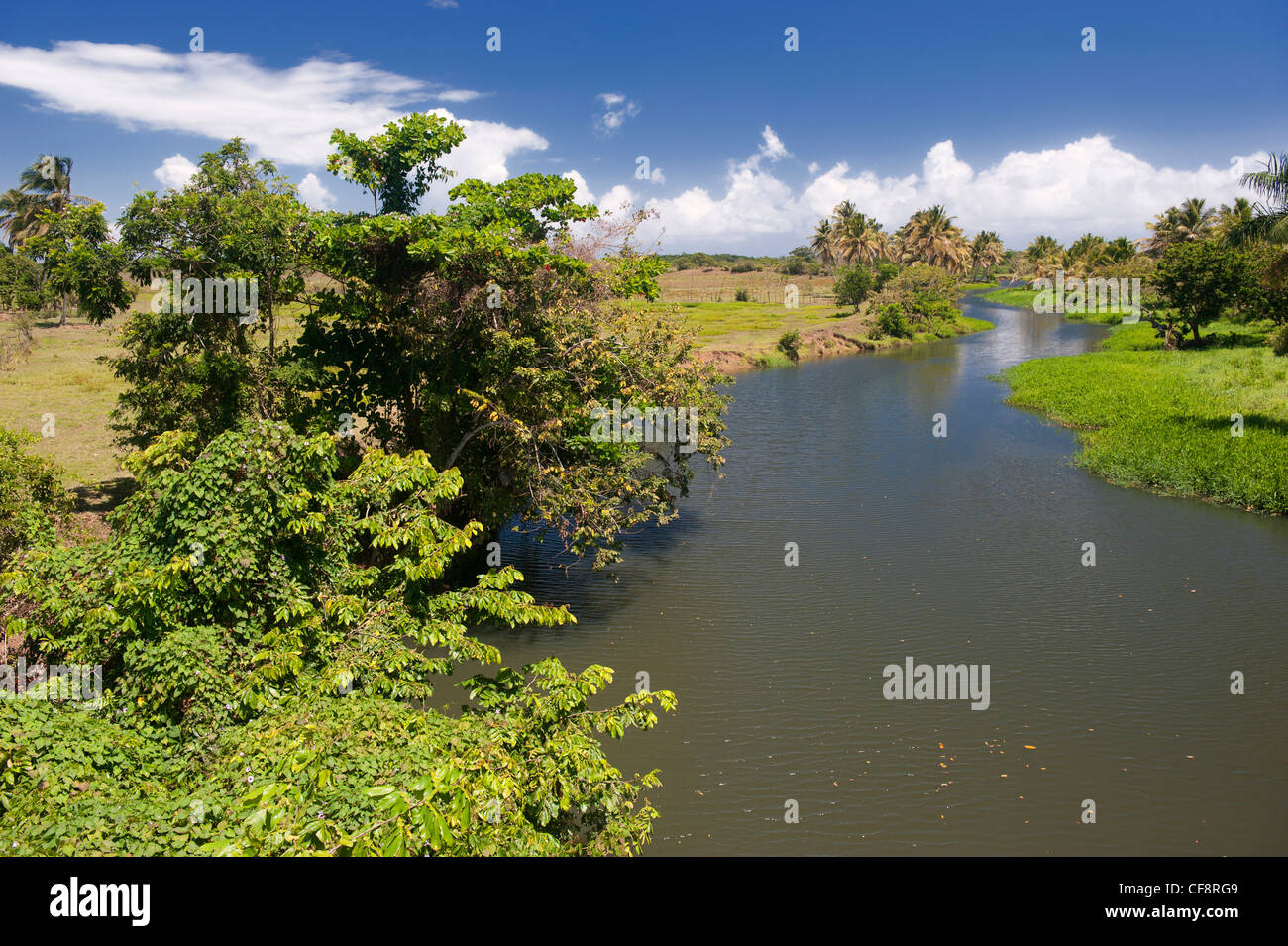 River, near Nagua, Dominican Republic, Caribbean, palm trees, landscape ...
