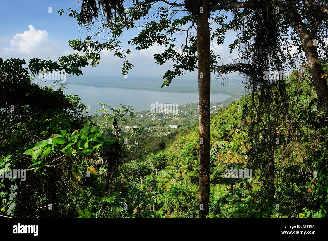 View, Bahia de Samana, Samana Peninsula, Dominican Republic, Caribbean ...