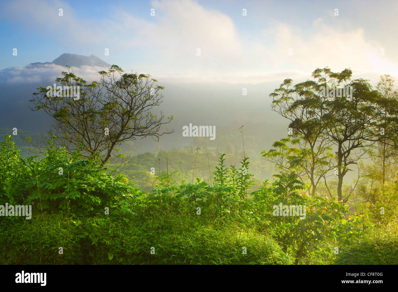 Batur, Indonesia, Asia, Bali, mountain, volcano, volcanism, geology ...