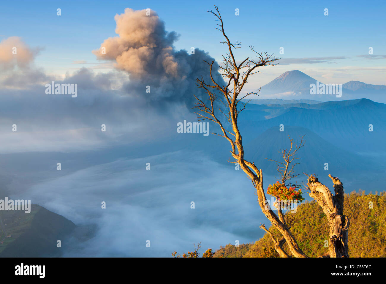 Bromo, Indonesia, Asia, Java, volcanoes, volcanism, geology, crater ...