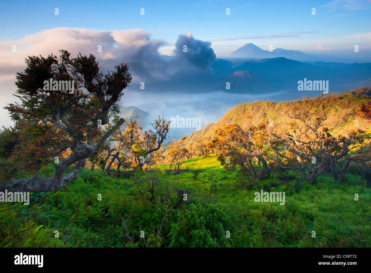 Bromo, Indonesia, Asia, Java, volcanoes, volcanism, geology, crater ...