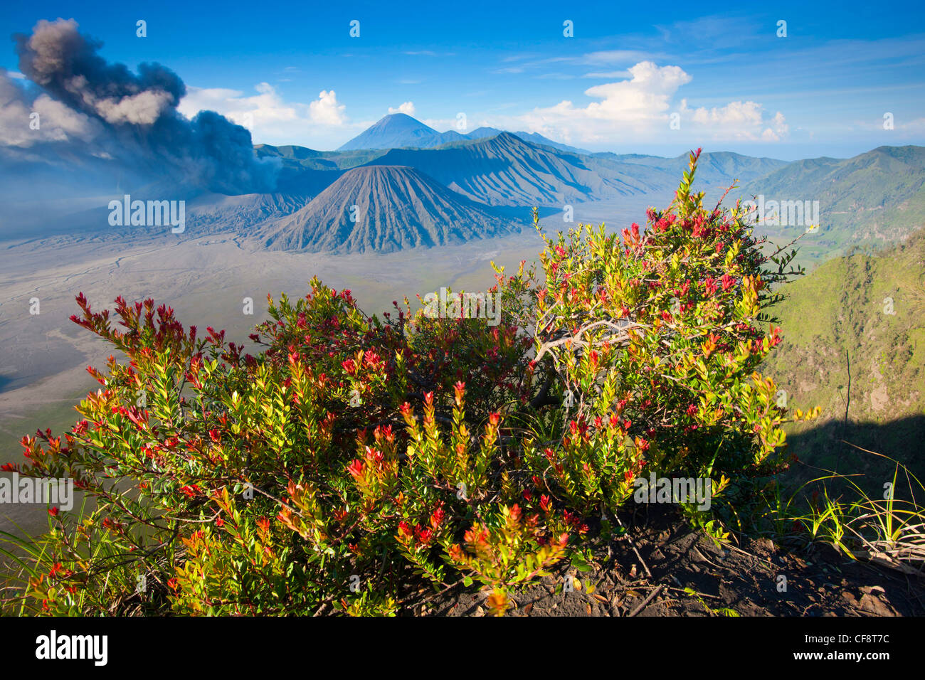 Bromo, Indonesia, Asia, Java, volcanoes, volcanism, geology, crater ...