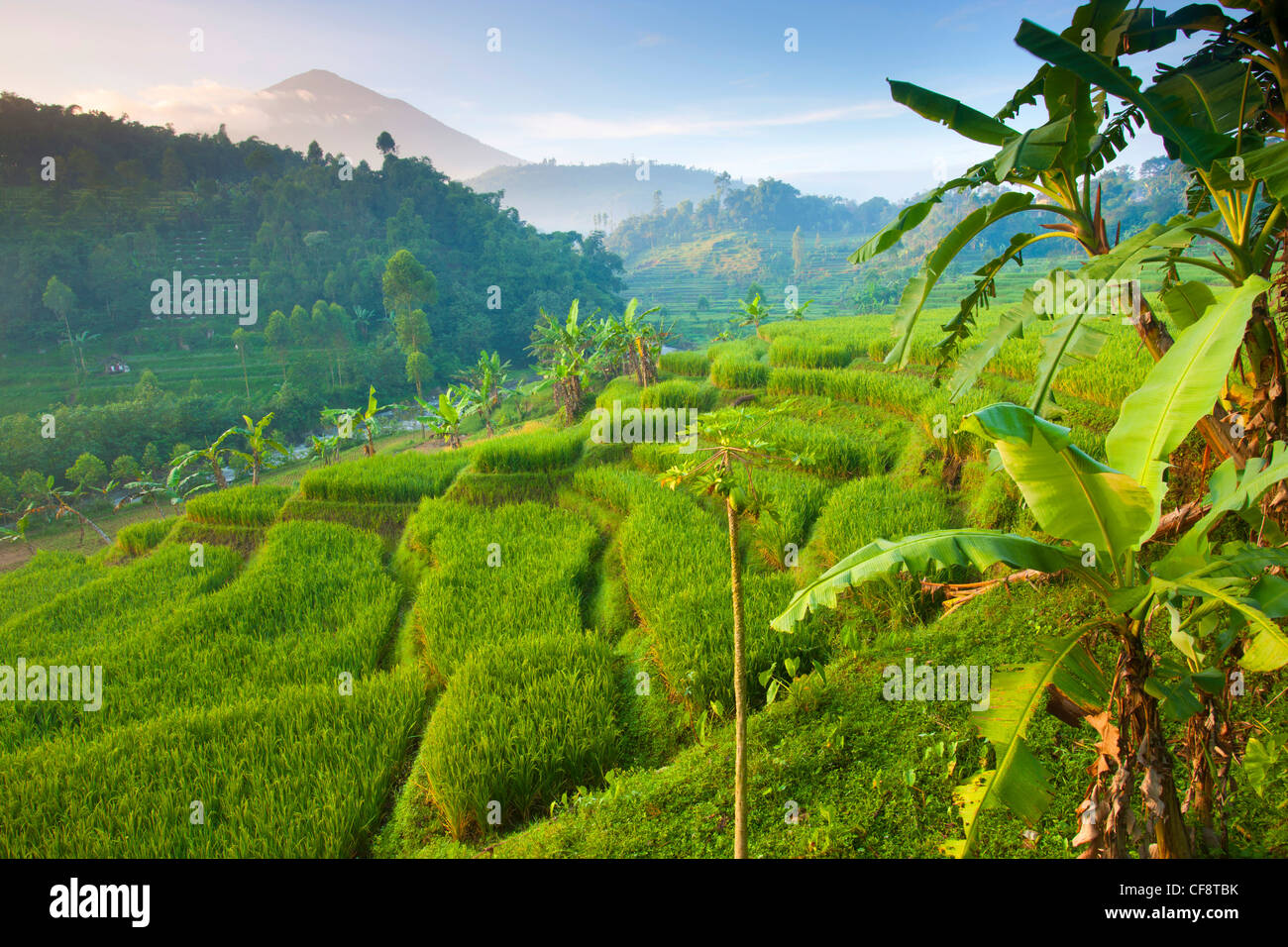 Cikuray, Indonesia, Asia, Java, mountain, volcano, volcanism, geology ...