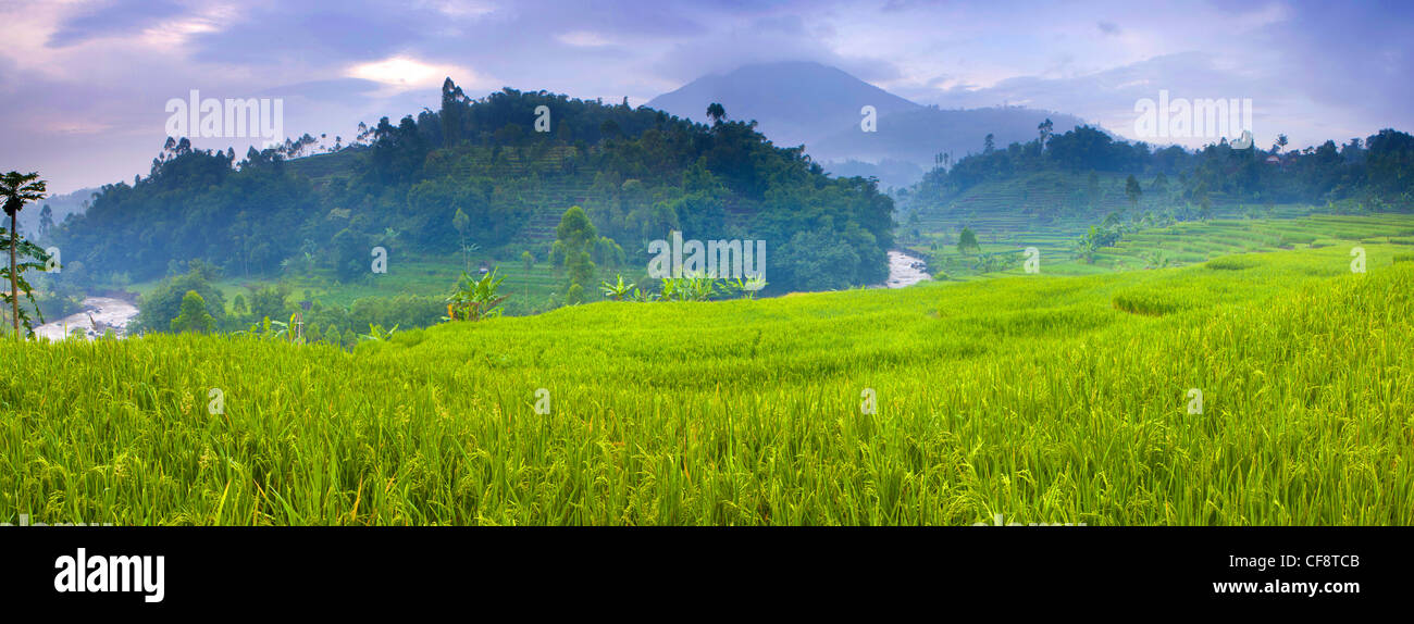 Cikuray, Indonesia, Asia, Java, mountain, volcano, volcanism, geology ...