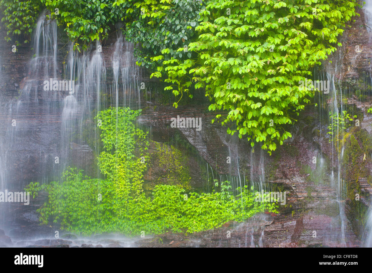 Curug orog, Indonesia, Asia, Java, primeval forest, jungle, rain forest ...