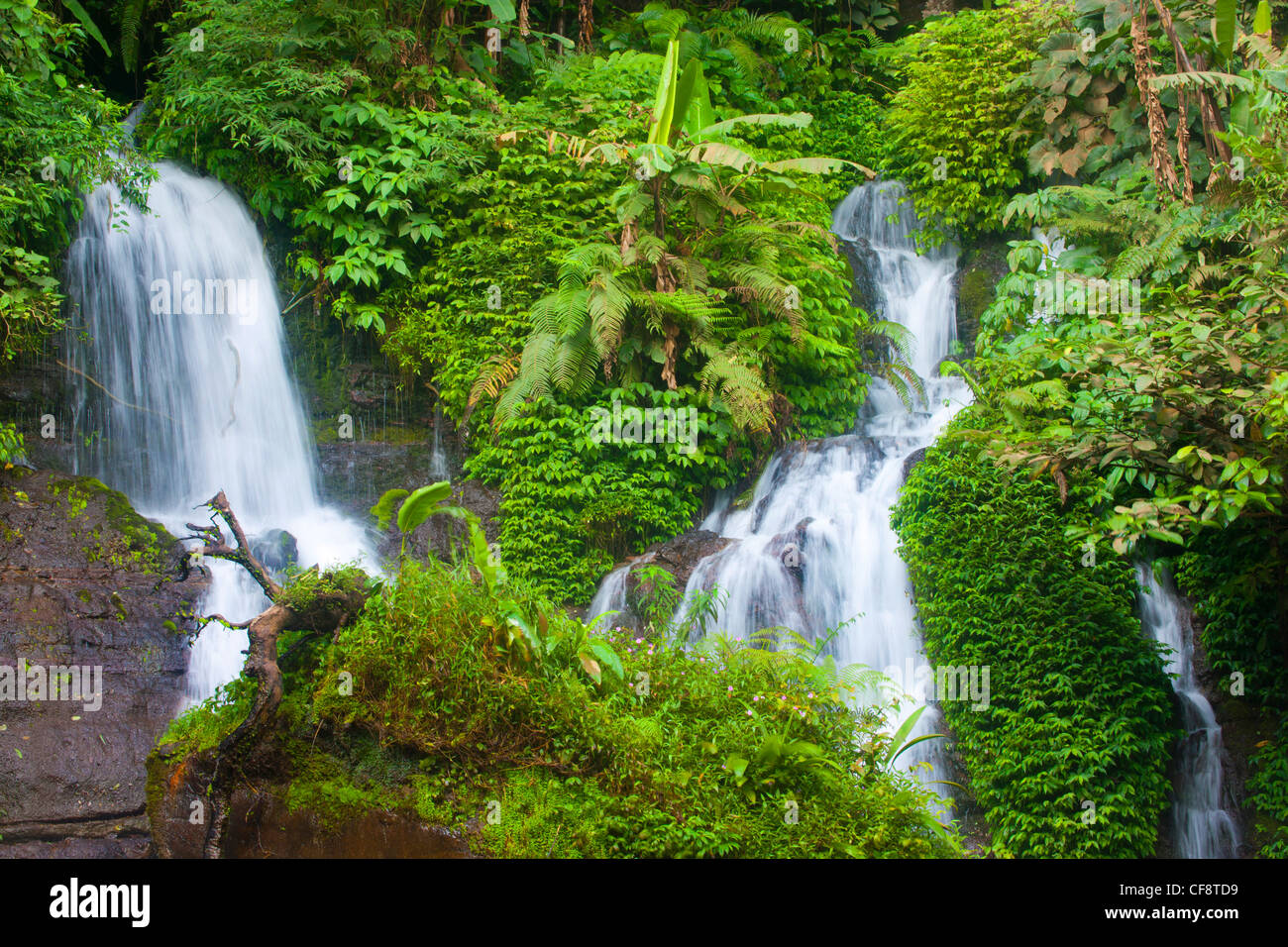 Curug orog, Indonesia, Asia, Java, primeval forest, jungle, rain forest ...