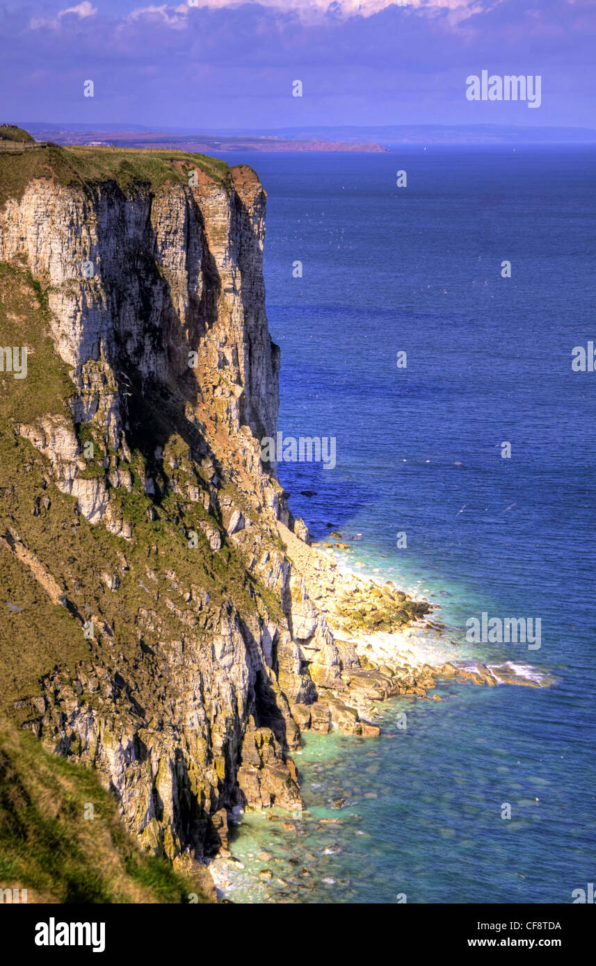 Bempton Cliffs are near Flamborough on the Yorkshire coast Stock Photo ...