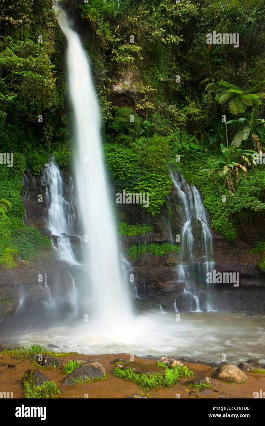 Curug orog, Indonesia, Asia, Java, primeval forest, jungle, rain forest ...