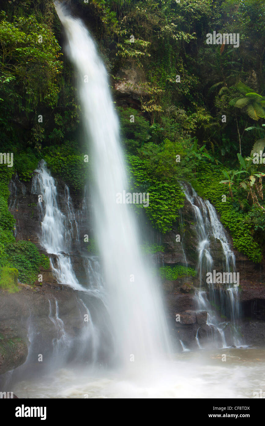 Curug orog, Indonesia, Asia, Java, primeval forest, jungle, rain forest ...