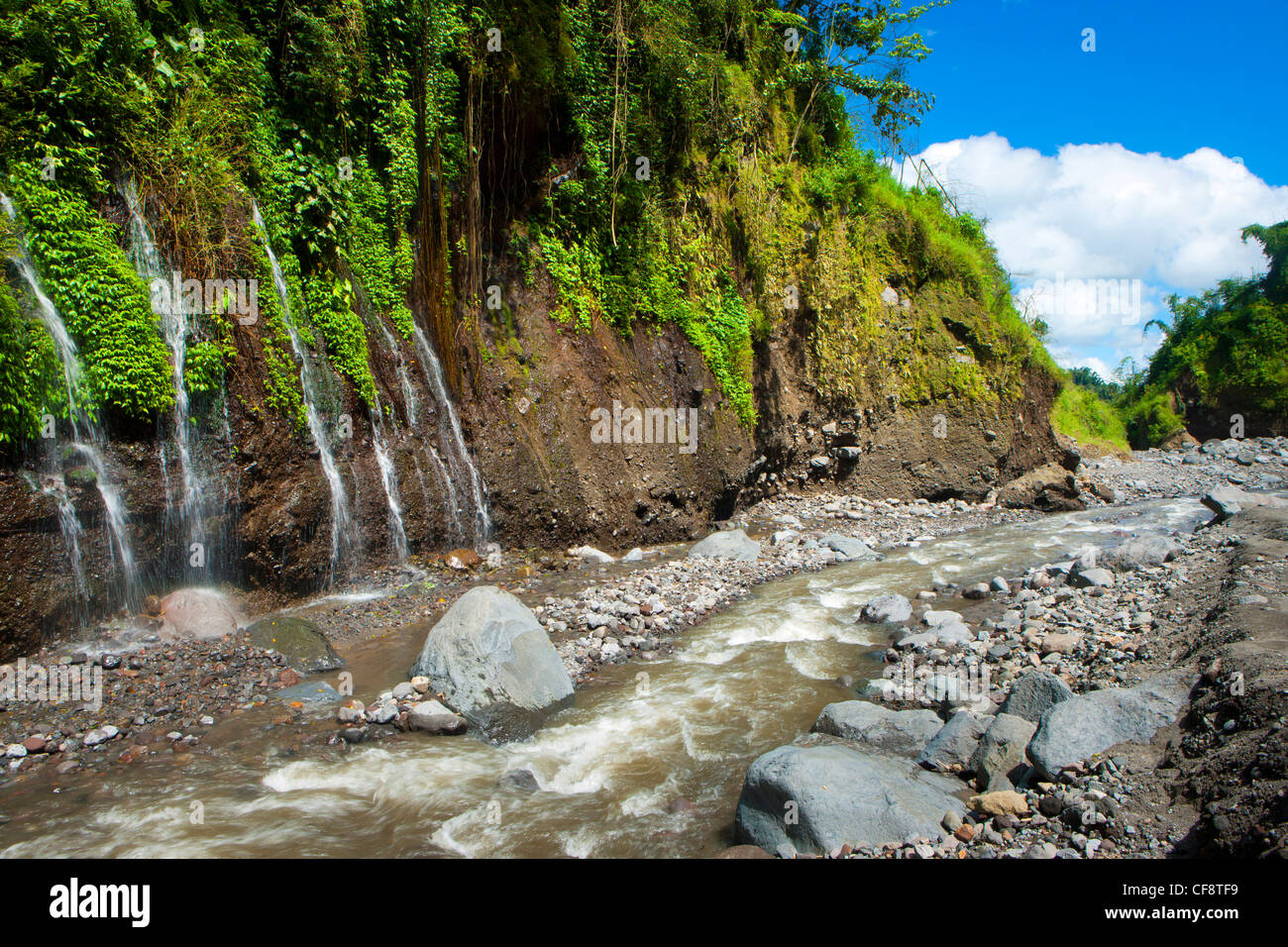Gedongkayang, Indonesia, Asia, Java, primeval forest, jungle, rain ...