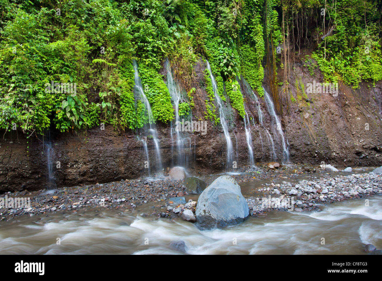 Gedongkayang, Indonesia, Asia, Java, primeval forest, jungle, rain ...