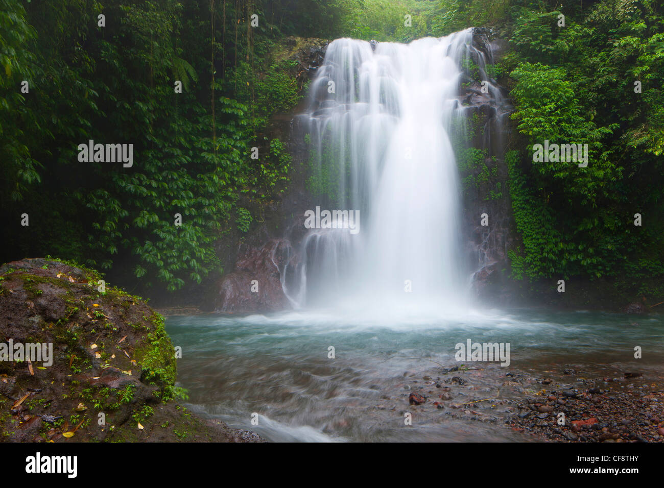 Gitgit, Indonesia, Asia, Bali, primeval forest, jungle, rain forest ...