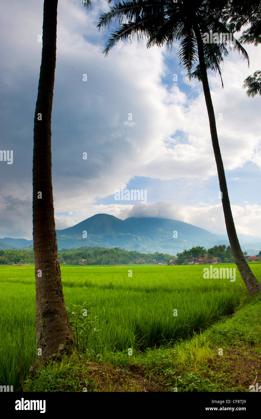 Guntur, Indonesia, Asia, Java, mountain, volcano, volcanism, geology ...