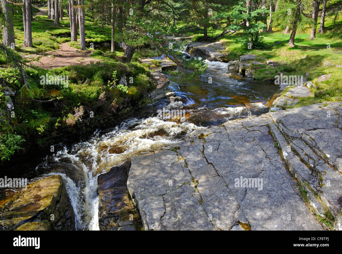 Linn of Quoich. Mar Lodge Estate, Braemar, Royal Deeside, Aberdeenshire ...
