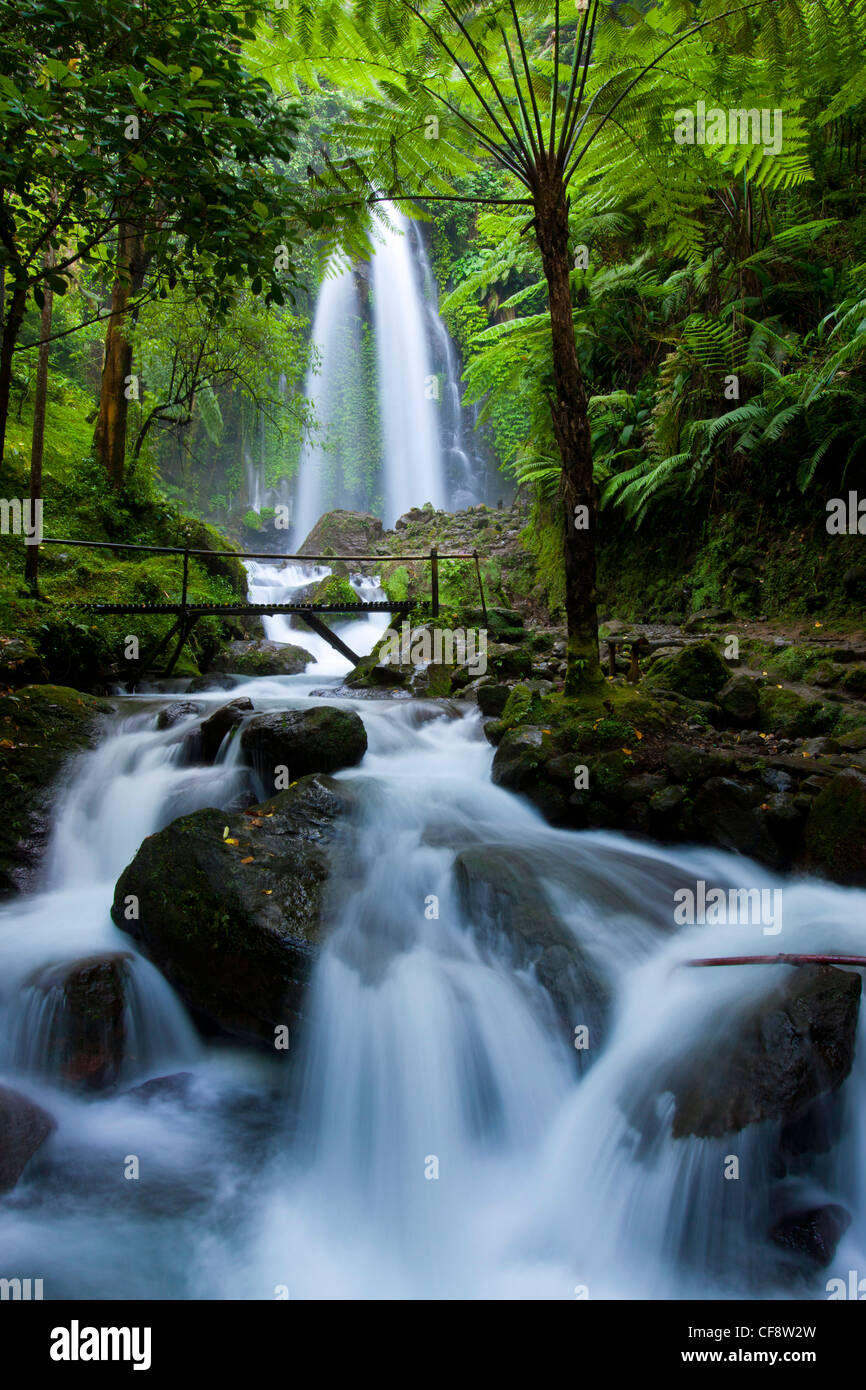 Jumog waterfall hi-res stock photography and images - Alamy