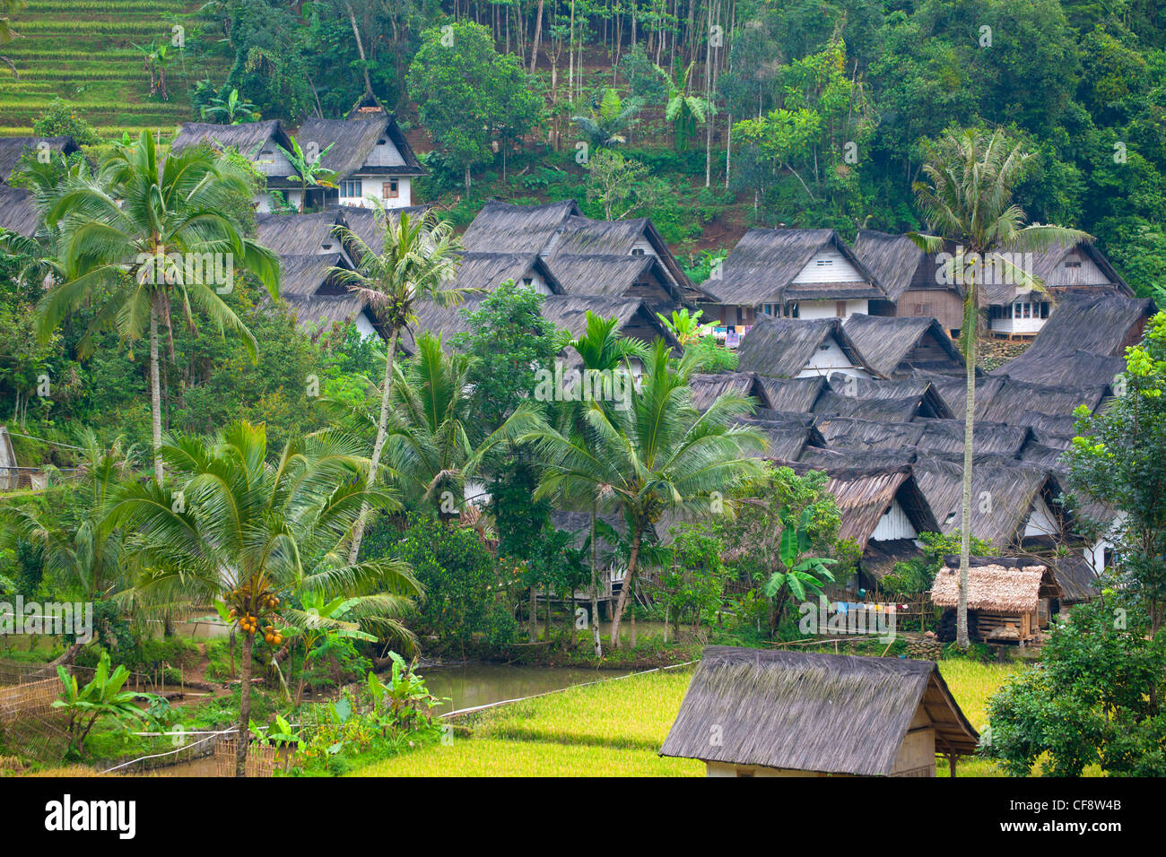 Kampung Naga, Indonesia, Asia, Java, village, houses, homes, palms ...