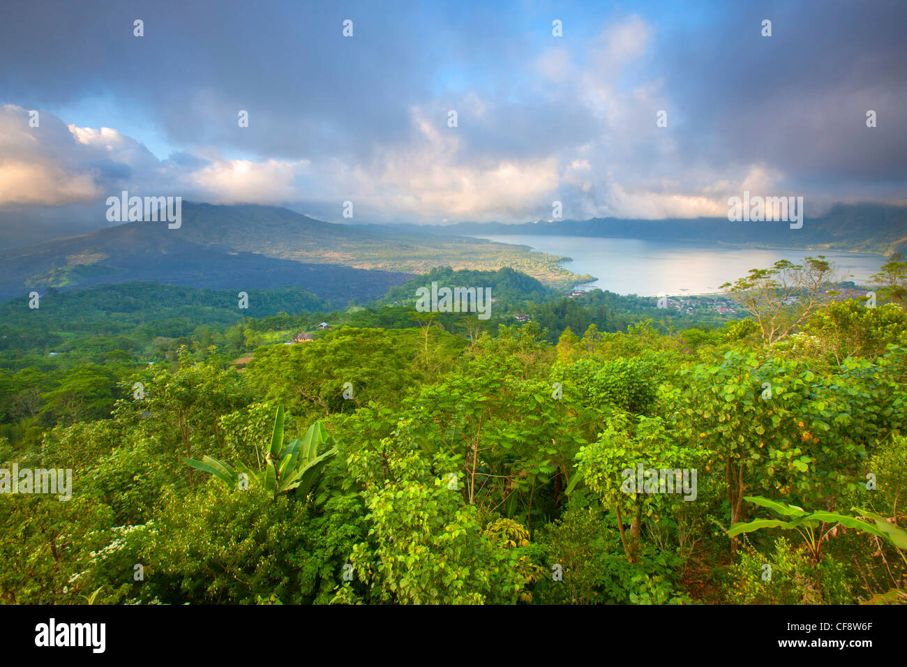 Lake Batur, Indonesia, Asia, Bali, lake, primeval forest, jungle, rain ...