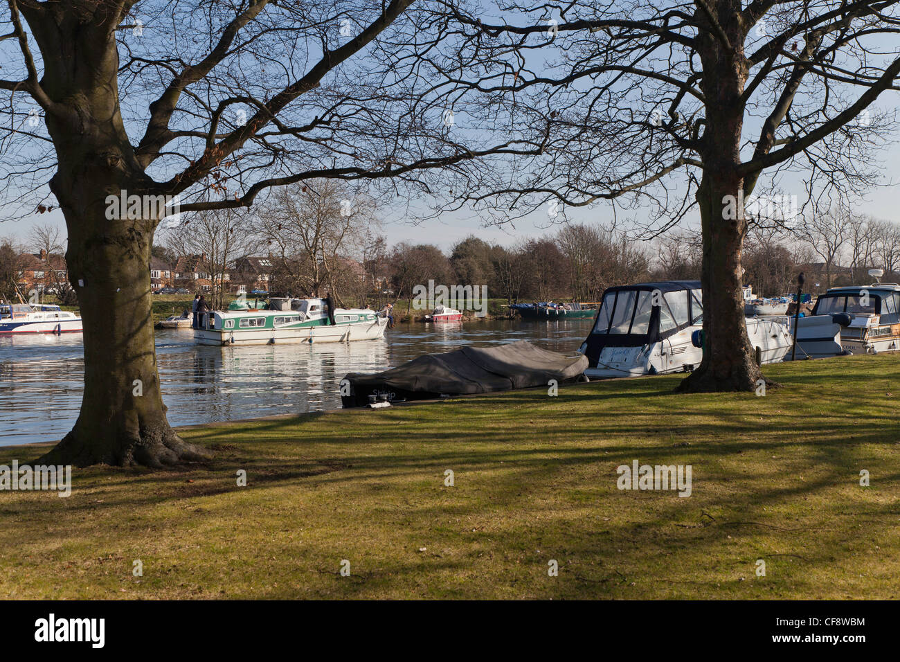 Moored boats on River Thames near Teddington Lock in early spring Stock ...