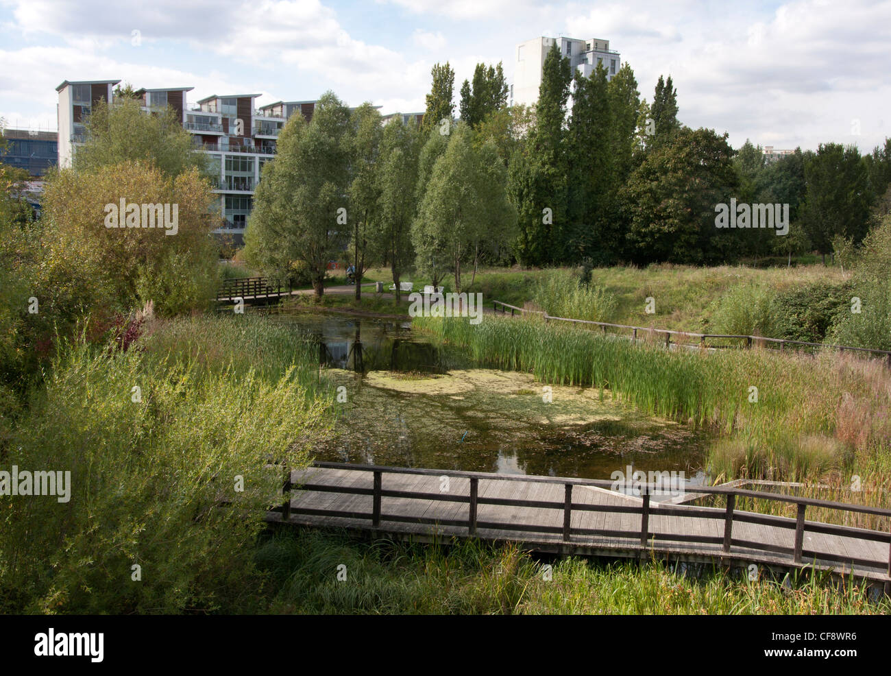 Mile End Ecology Park was created on industrial land devastated by ...