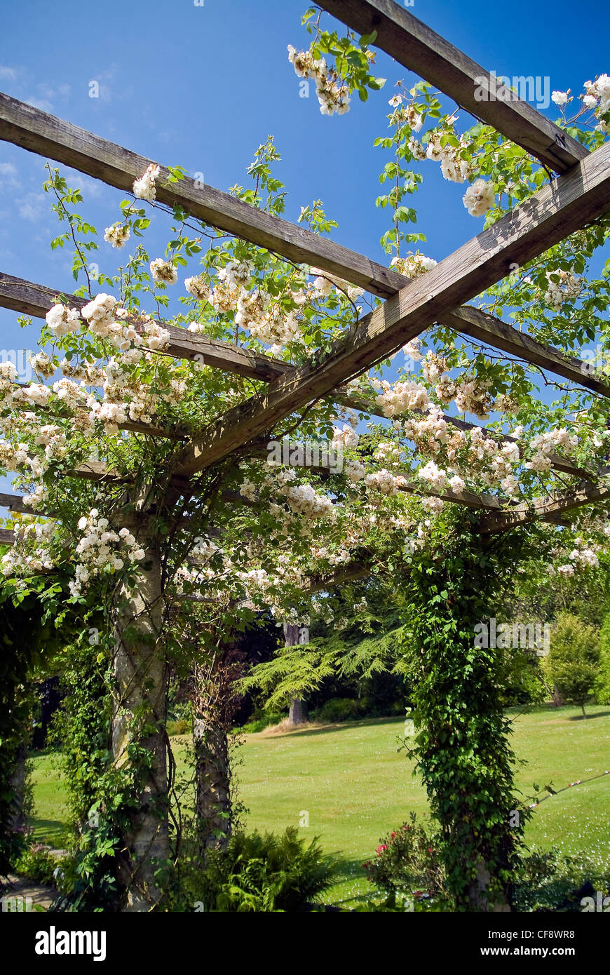 The gardens in West Dean College grounds near Chichester, West Sussex ...