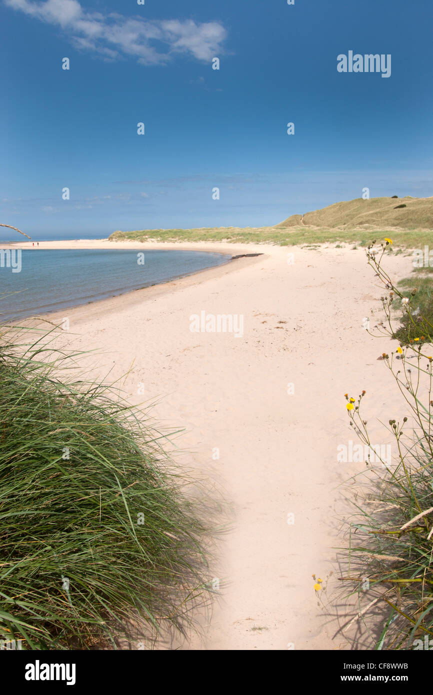 Budle Bay is situated 4 miles north of Bamburgh with its coastal castle ...