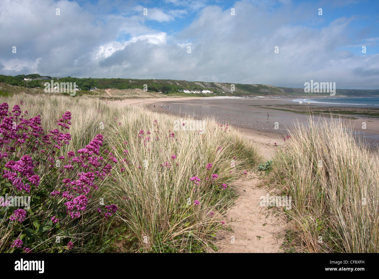 The beach at Port Eynon is in the Gower Peninsula, a designated area of ...