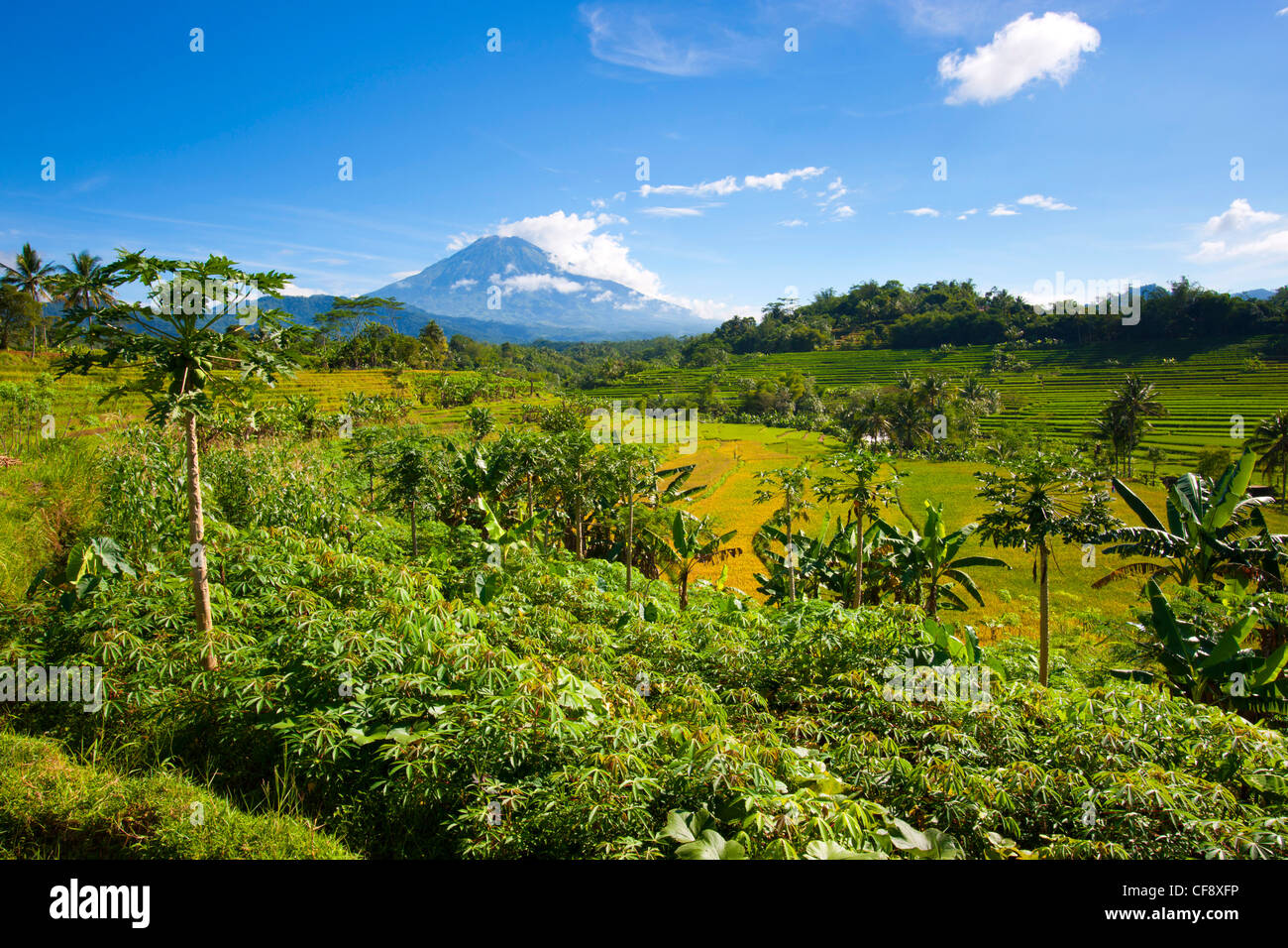 Sumbing, Indonesia, Asia, Java, mountain, volcano, volcanism, geology ...