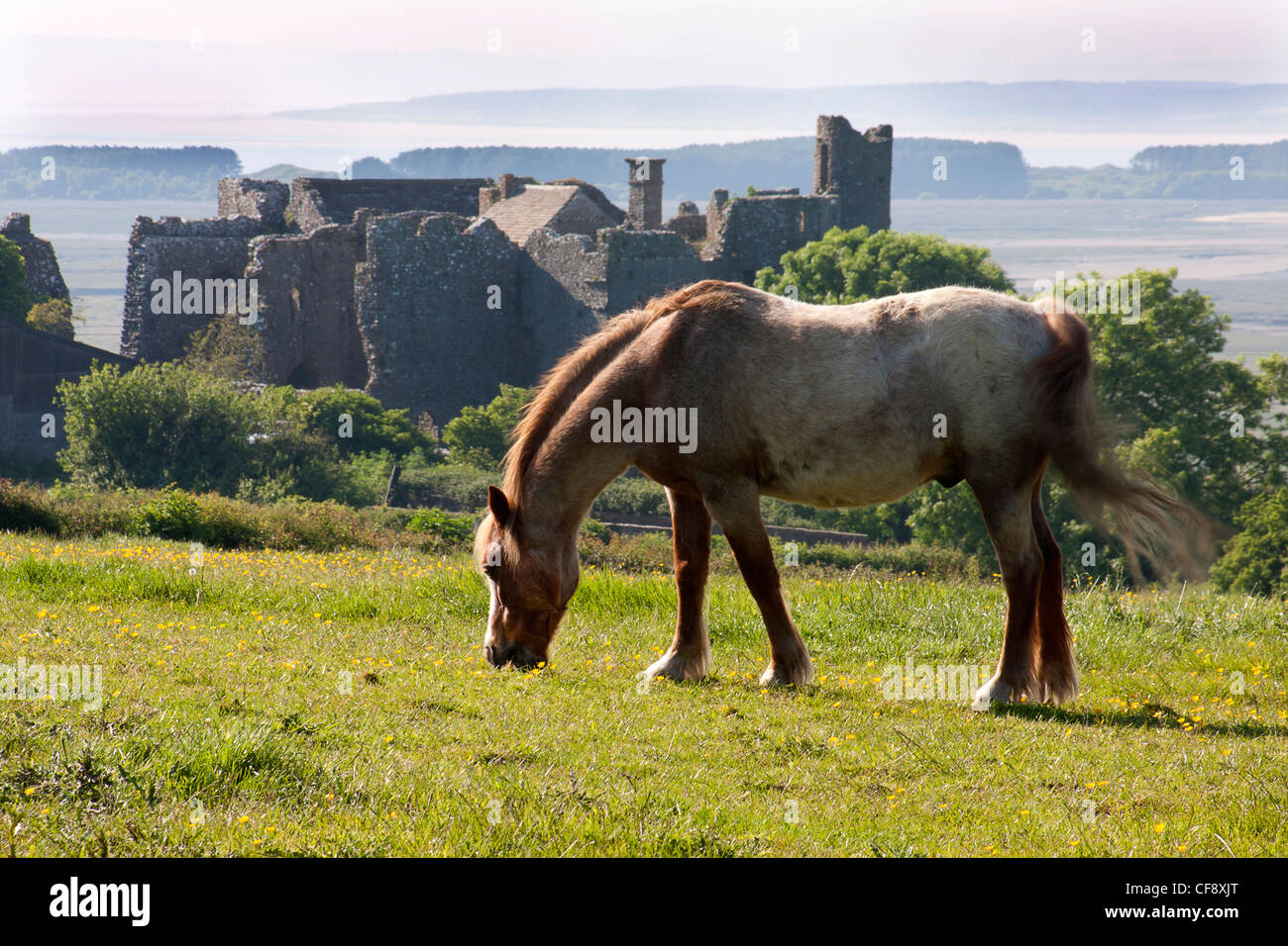 Weobley High Resolution Stock Photography and Images - Alamy