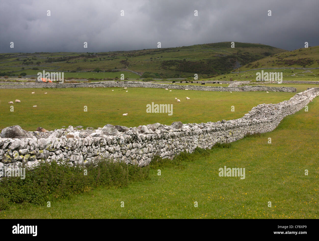 Dry stone walls are constructed from stones without any mortar to bind ...