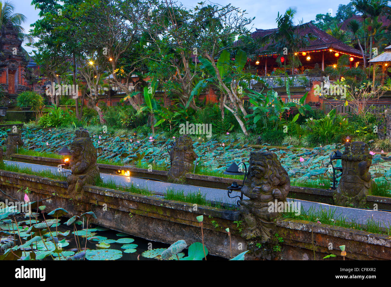 Ubud, Lotus, pond, Indonesia, Asia, Bali, culture, religion, plants ...