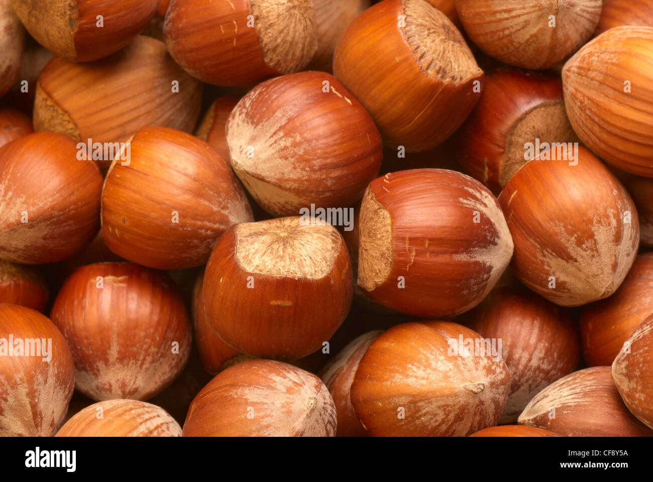 A stack of fresh unshelled hazelnuts, food background Stock Photo - Alamy