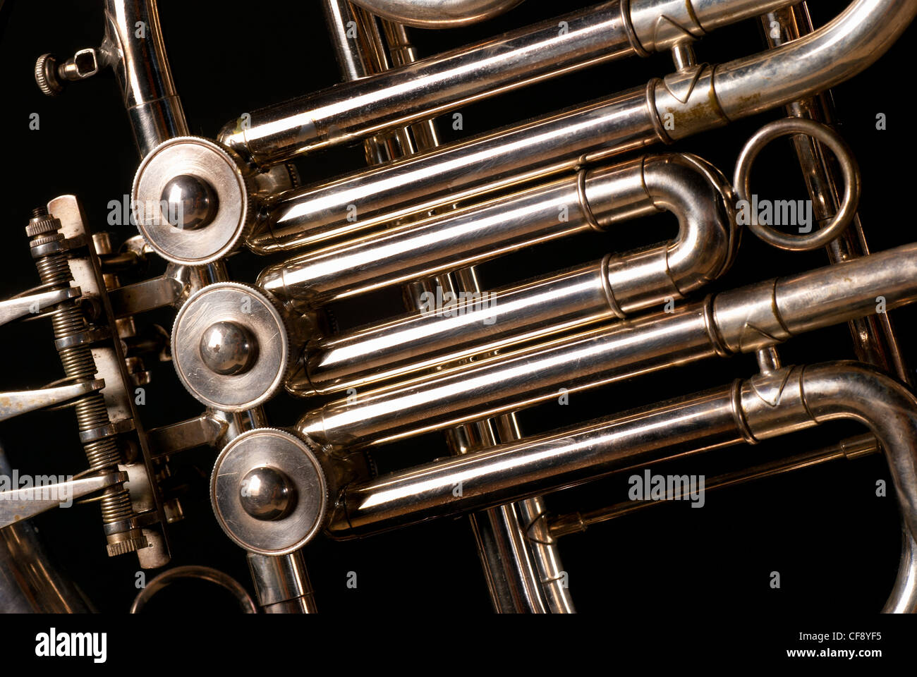Coiled horn hi-res stock photography and images - Alamy