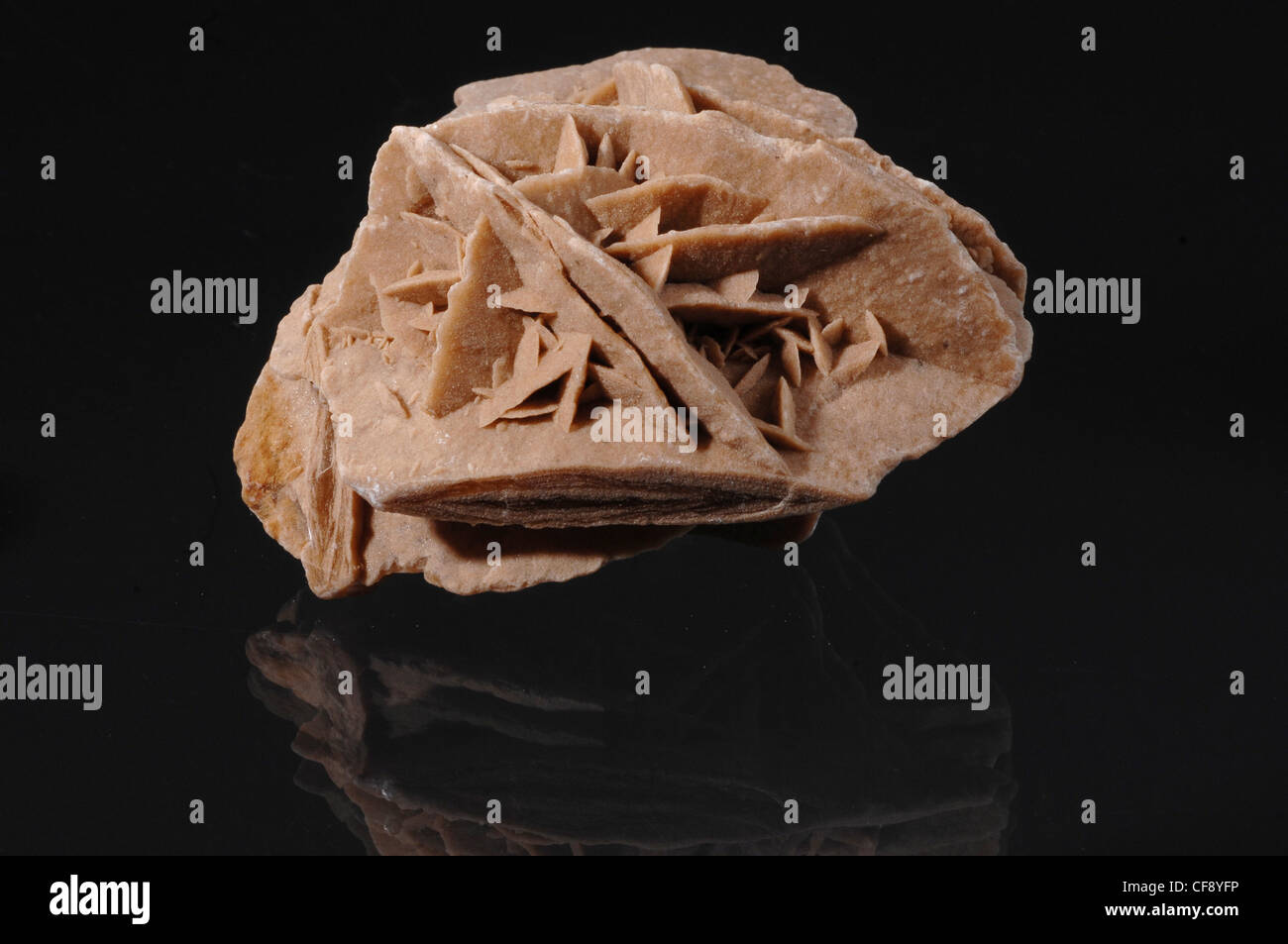 Precious stone, jewellery, sand rose, gypsum crystal, stone Stock Photo ...