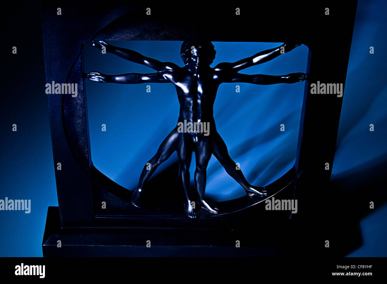 Vitruvian man sculpture Stock Photo - Alamy