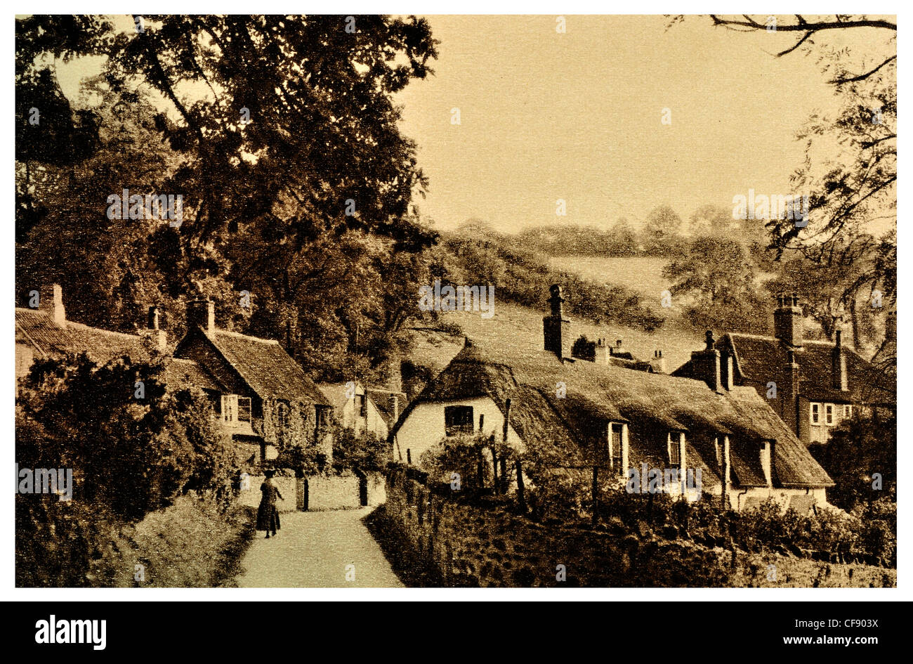 Holford hi-res stock photography and images - Alamy