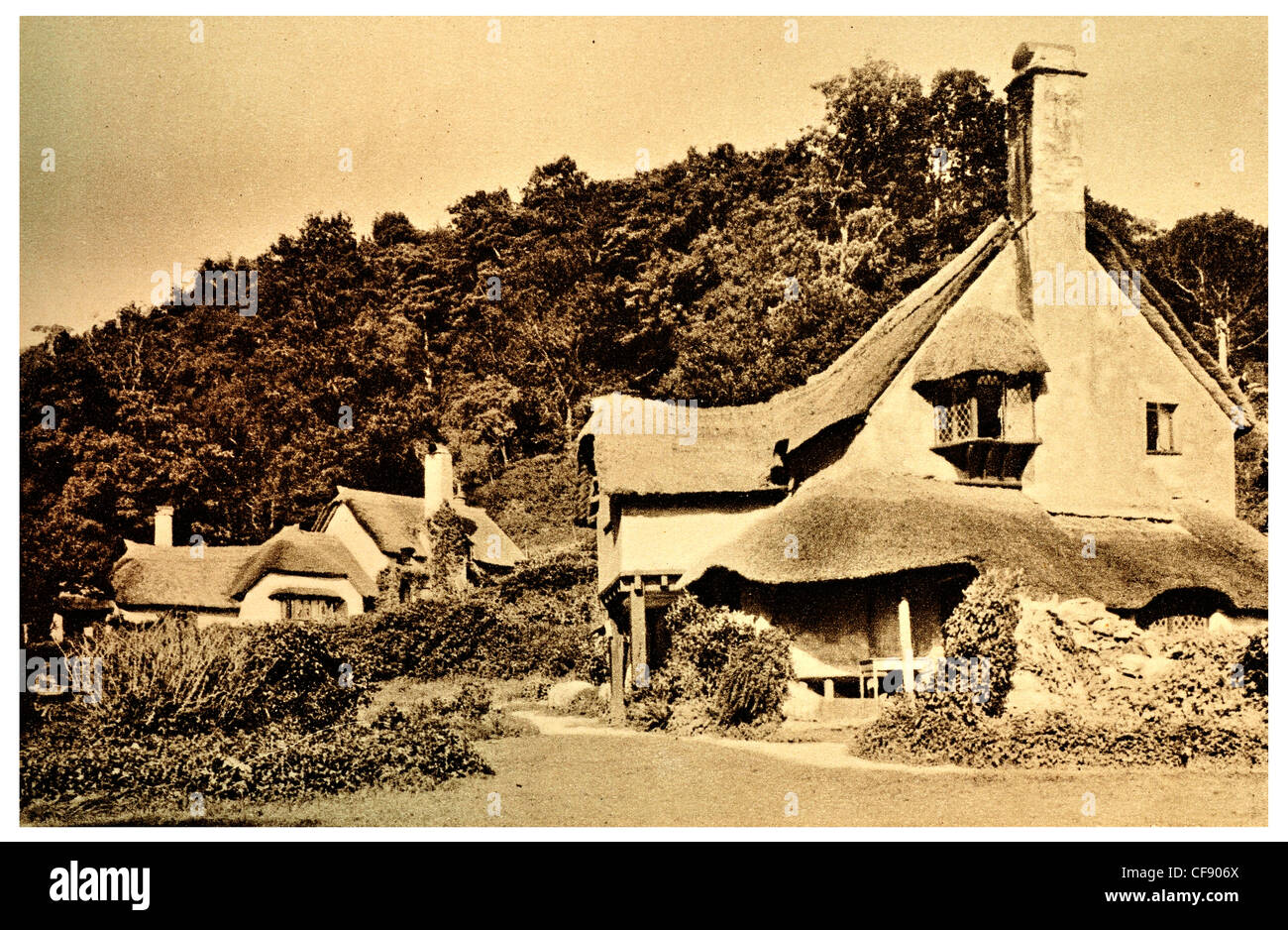 Selworthy Combe Green thatched cottage thatch historic village Somerset ...