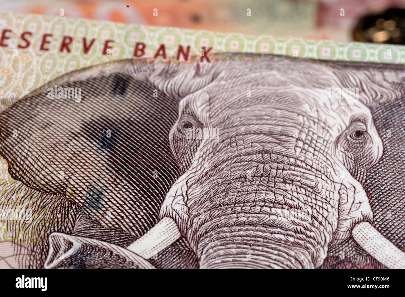 South african money notes hi-res stock photography and images - Alamy