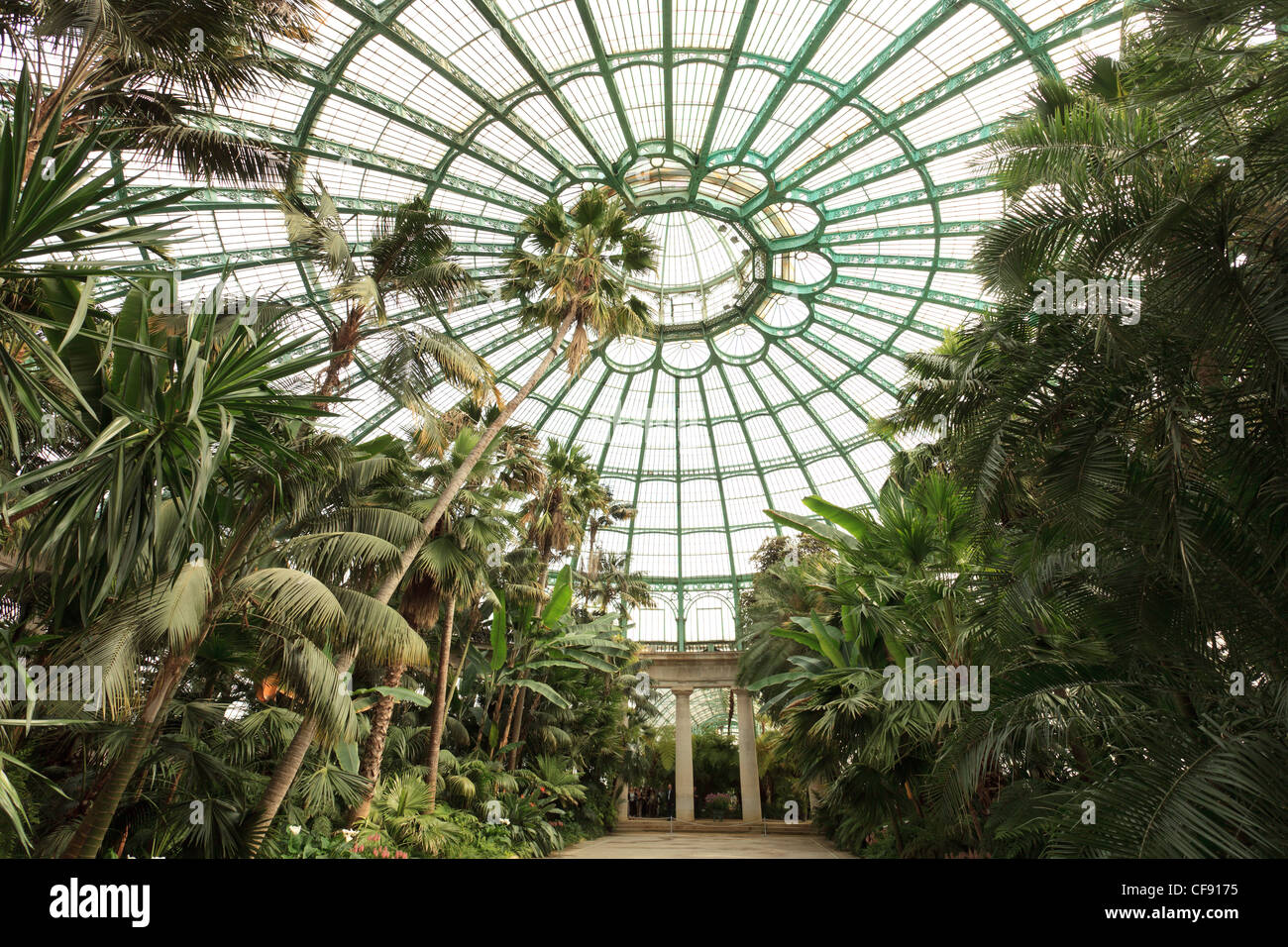 Castle Inside Greenhouse