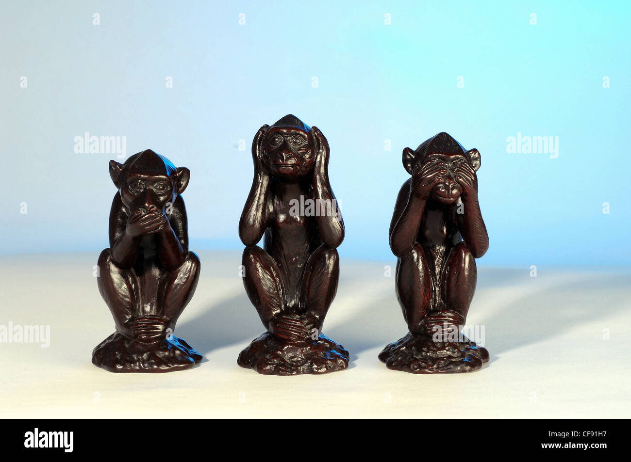 Three Monkeys High Resolution Stock Photography and Images - Alamy