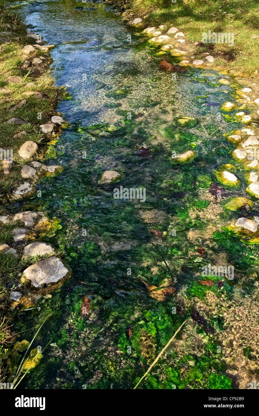 Stone well in lush hi-res stock photography and images - Alamy