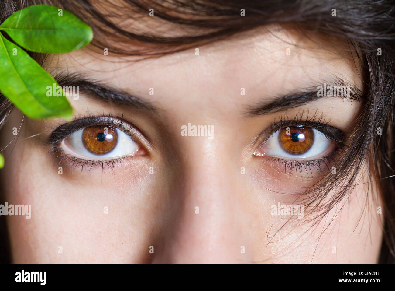 Close up view of the eyes of a beautiful young girl Stock Photo - Alamy