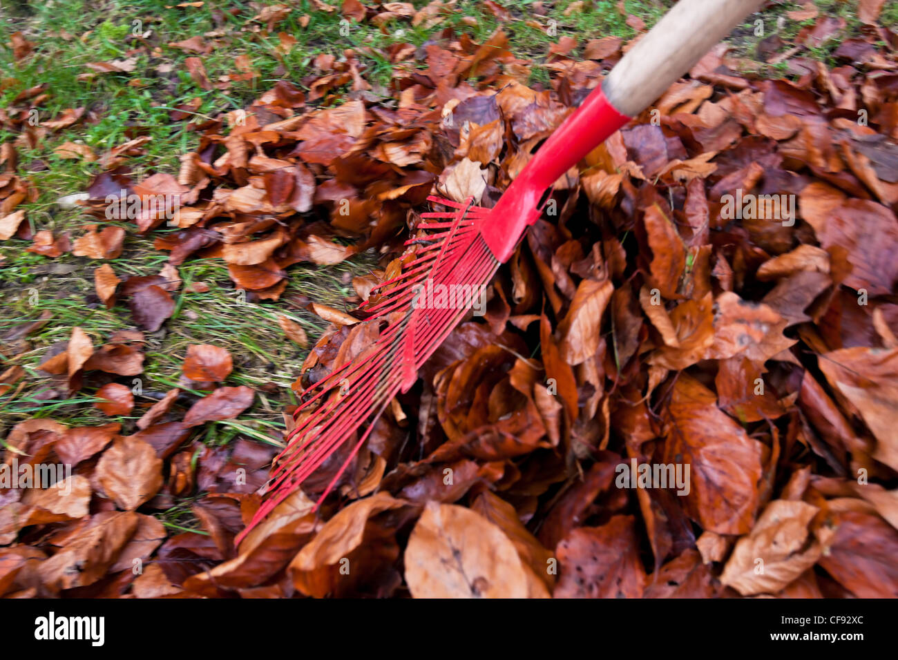 Gets up and leaves hi-res stock photography and images - Alamy