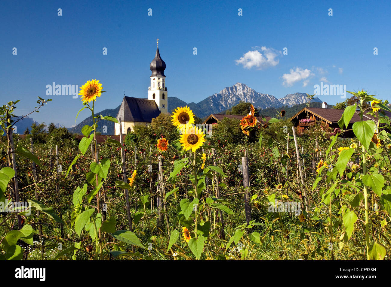 Europe, Germany, Bavaria, Upper Bavaria, Berchtesgaden land ...