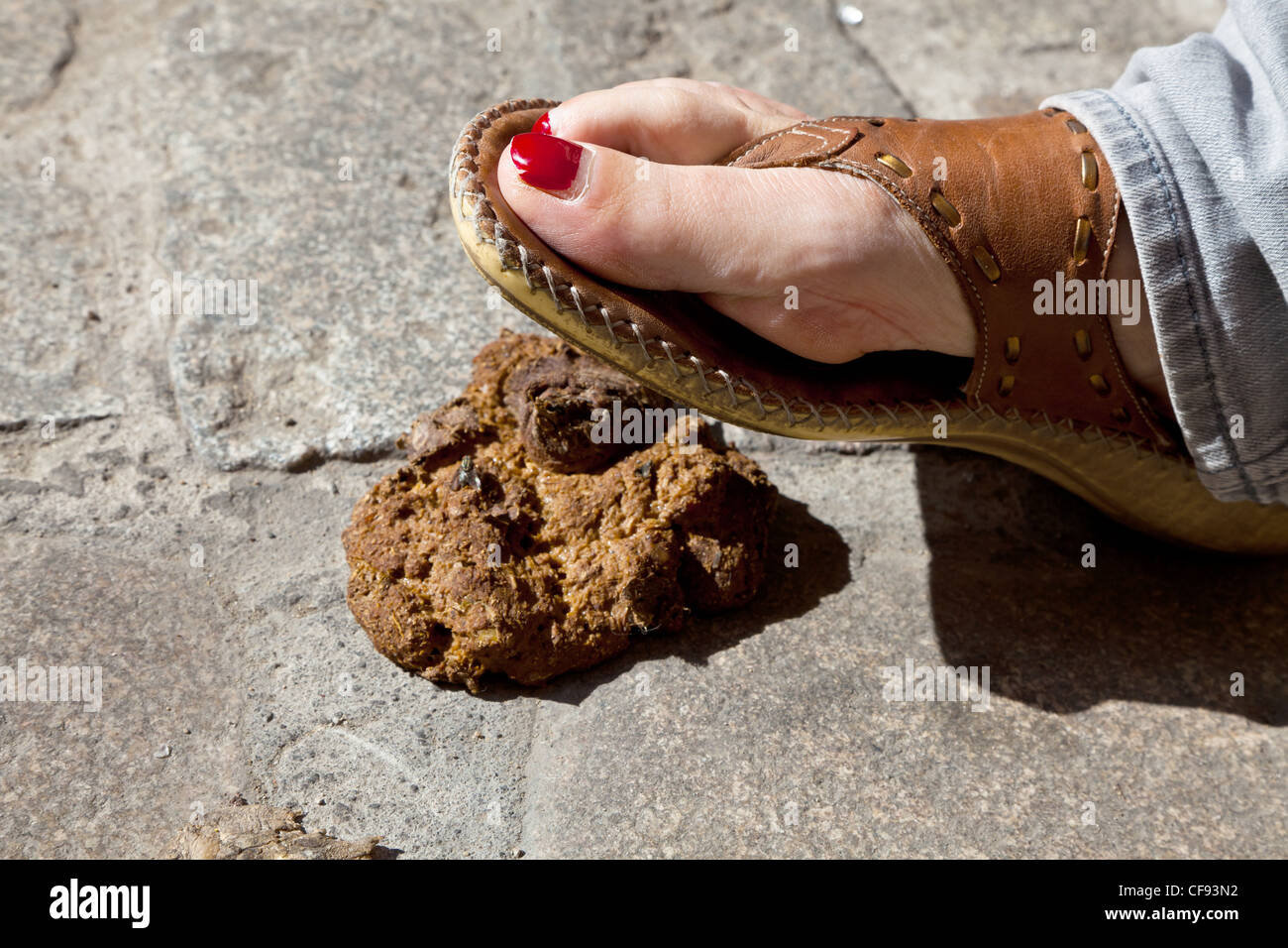 a walk occurs dog excrement lying on the road Stock Photo - Alamy