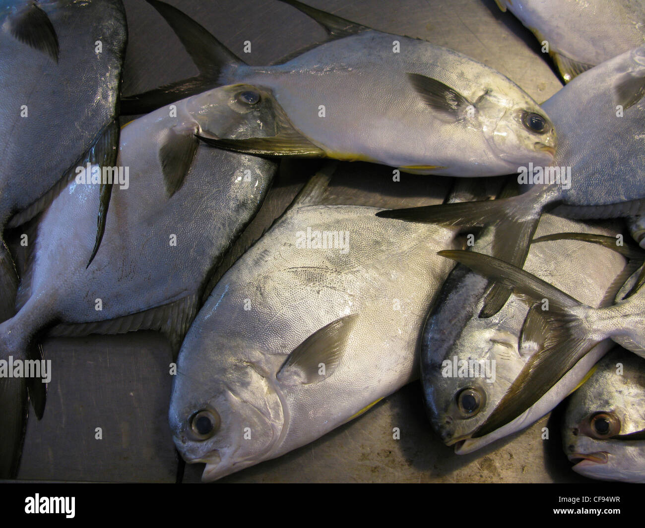 Fish market Singapore Stock Photo - Alamy
