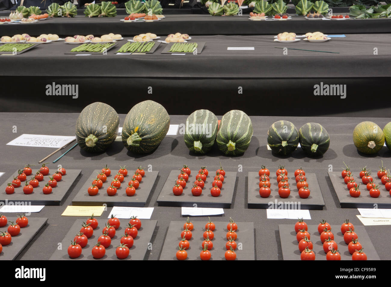 Prize winning vegetables at Malvern Autumn Show 2011 Three Counties ...